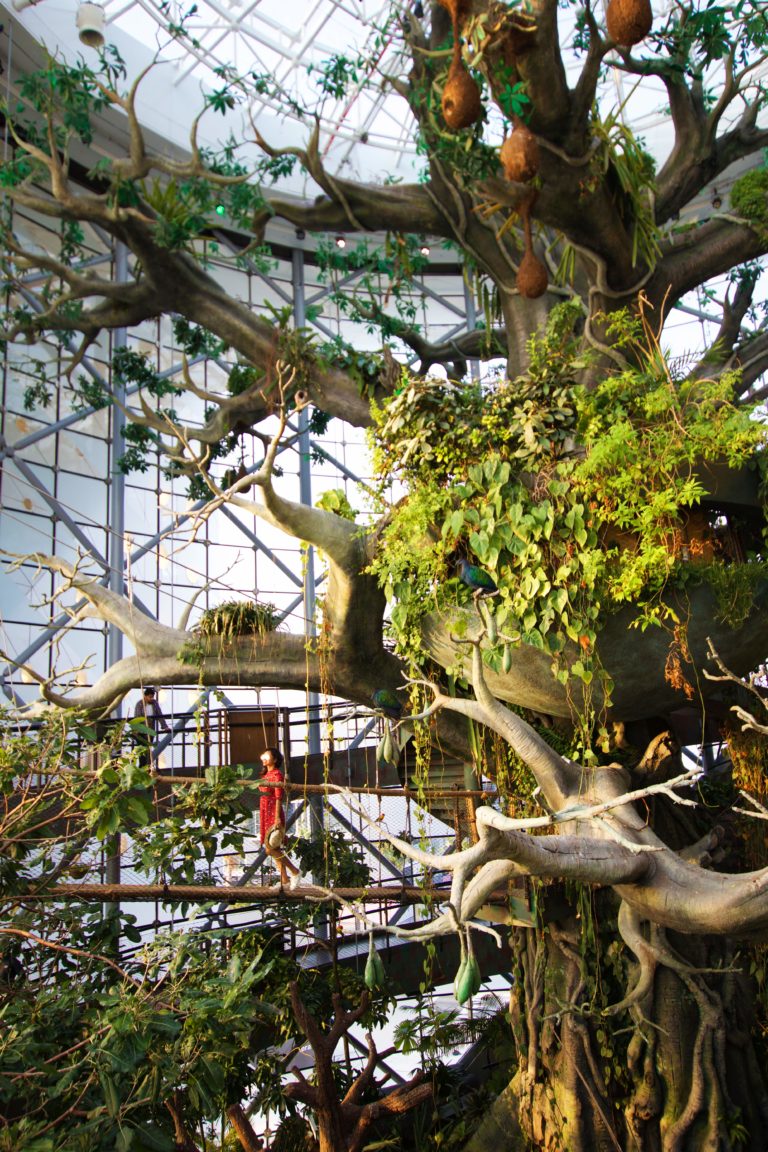 The Green Planet By Meraas- Dubai's Indoor Rainforest - Couple Of Travels